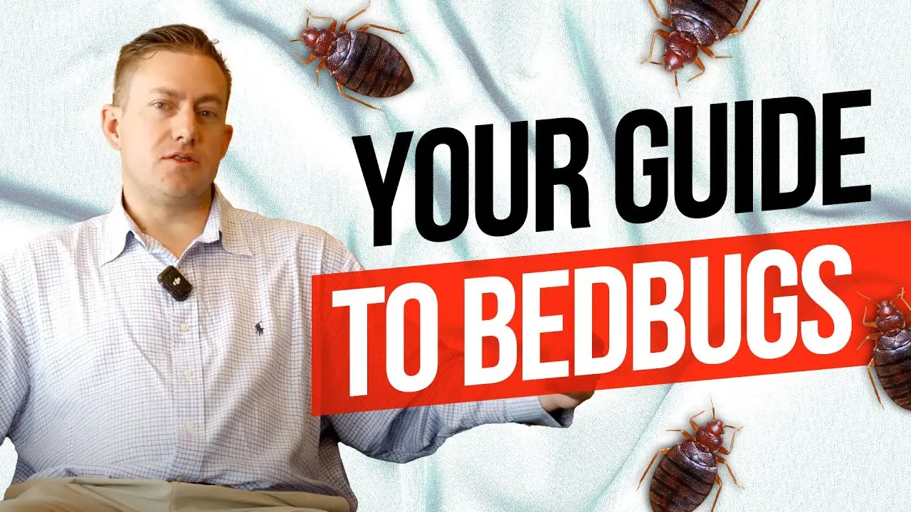 Colorado Bed Bug Laws: Explained by Attorney Matt Osborne - Ramos Law
